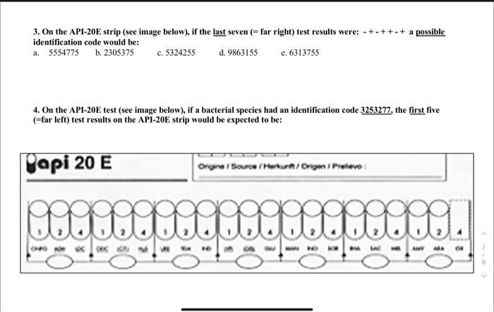 3. On the API-20E strip (see image below), if the | Chegg.com