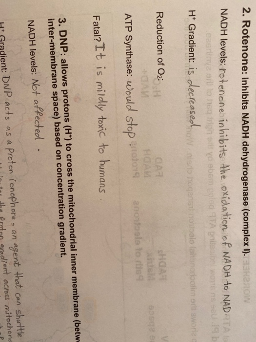 Solved 2. Rotenone: inhibits NADH dehydrogenase (complex 1). | Chegg.com