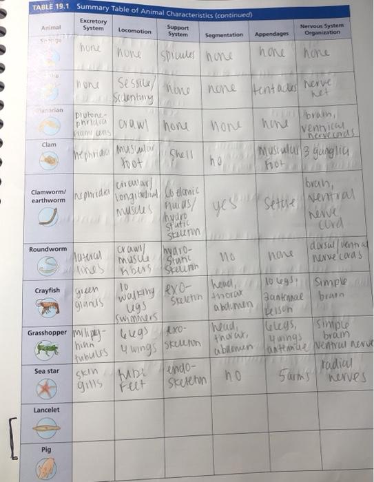 Solved TABLE 19.1 Summary Table of Animal Characteristics | Chegg.com