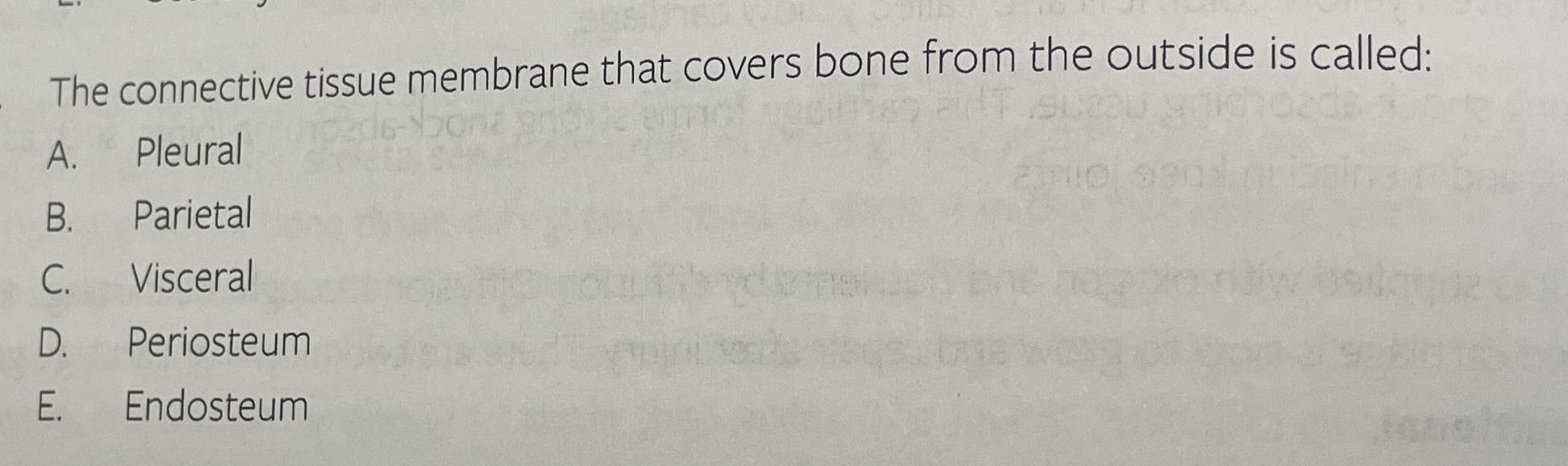 Solved The connective tissue membrane that covers bone from | Chegg.com