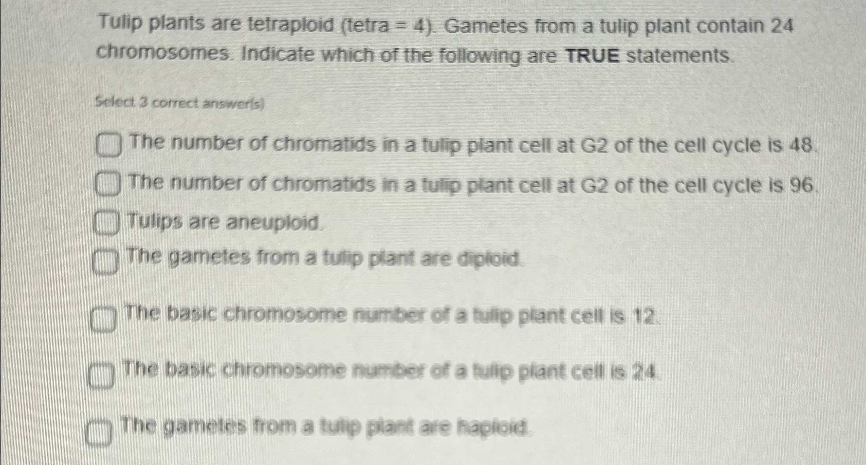 Solved Tulip plants are tetraploid (tetra =4 ). ﻿Gametes | Chegg.com