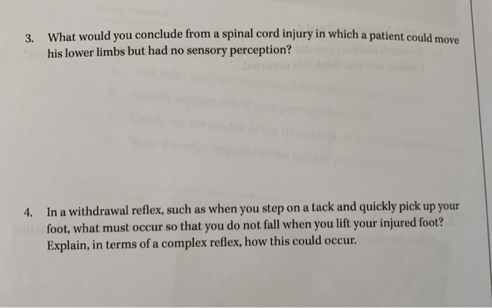 Solved Critical Thinking Questions 1. Trauma to the spinal | Chegg.com
