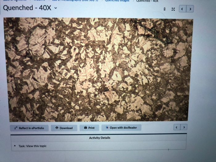 Solved Background: Steel is a solid solution of carbon and | Chegg.com