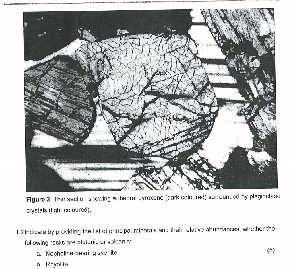 Solved Figure 2. ﻿Thin section showing euhedral pyroxene | Chegg.com