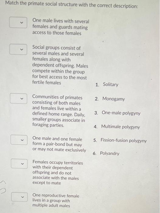 Solved Match the primate social structure with the correct | Chegg.com