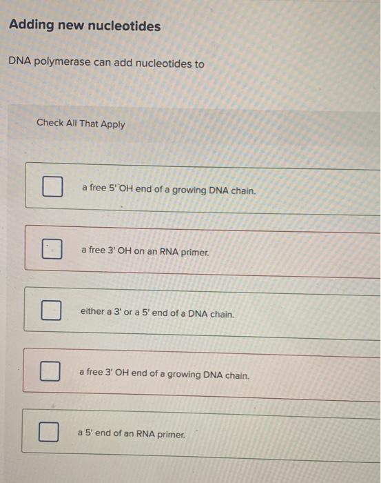 Solved Adding new nucleotides DNA polymerase can add | Chegg.com