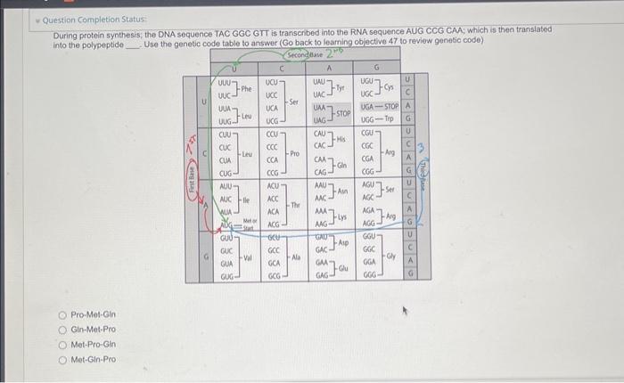 Solved The anticodon binds to a complementary codon in the | Chegg.com
