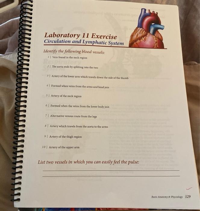 Solved Laboratory 11 Exercise Circulation and Lymphatic | Chegg.com