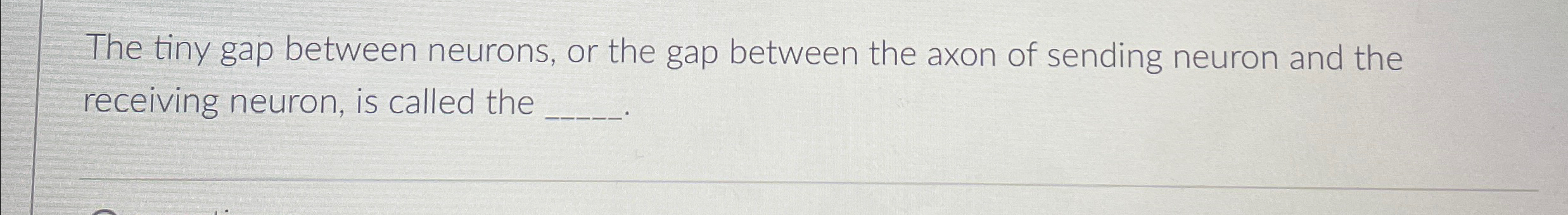 Solved The tiny gap between neurons, or the gap between the | Chegg.com