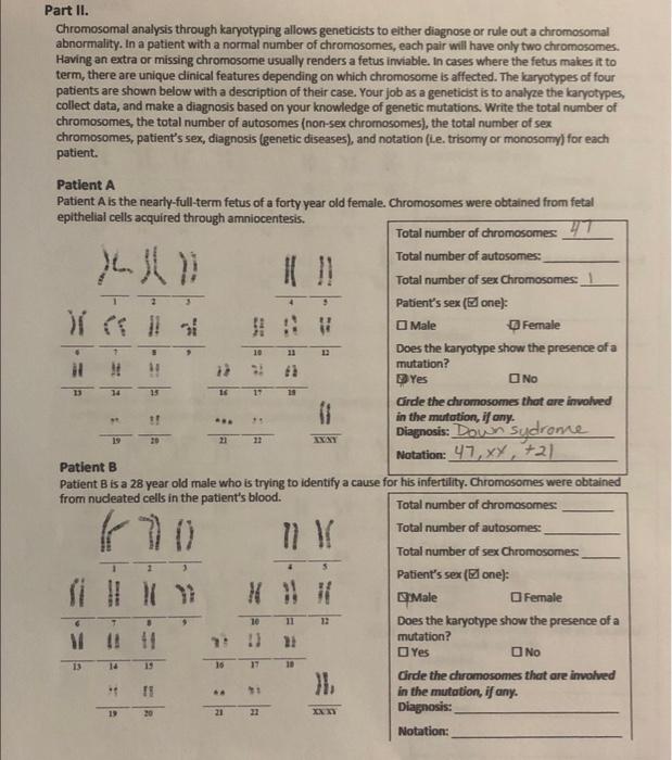 Solved Part II. Chromosomal analysis through karyotyping | Chegg.com