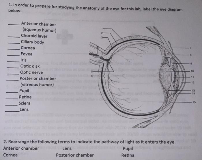 Solved 1. In order to prepare for studying the anatomy of | Chegg.com