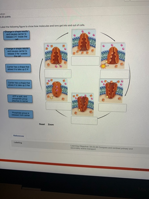 Solved alue: 3.33 points Label the following figure to show | Chegg.com