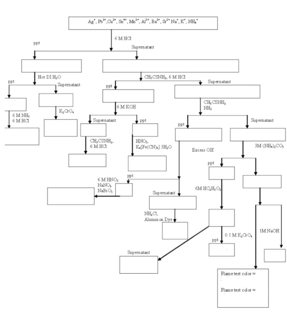 Solved Flow chart showing how cations are separated and | Chegg.com