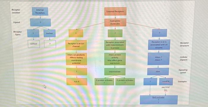 complete the concept map and fill in the blanks | Chegg.com