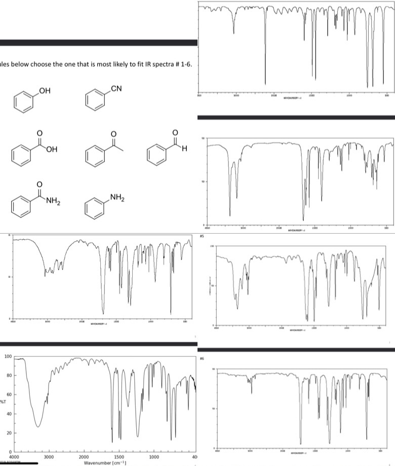 Solved From the molecules below choose the one that is most | Chegg.com