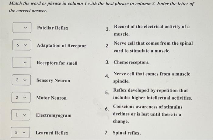 Solved Match the word or phrase in column 1 with the best | Chegg.com