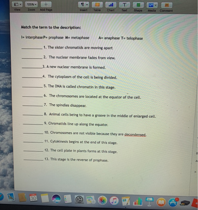 Solved 125% + T Text View Zoom Add Page Insert Table Chart | Chegg.com
