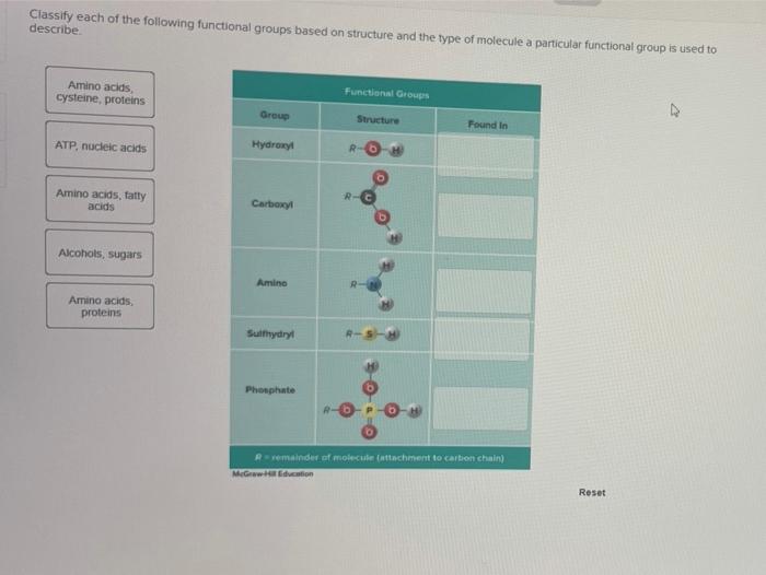 Solved Classify each of the following functional groups | Chegg.com