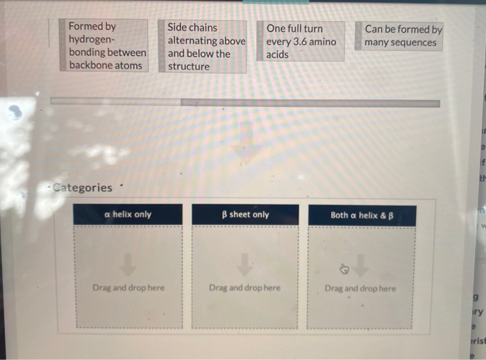 Solved Formed by hydrogen- bonding between backbone atoms | Chegg.com