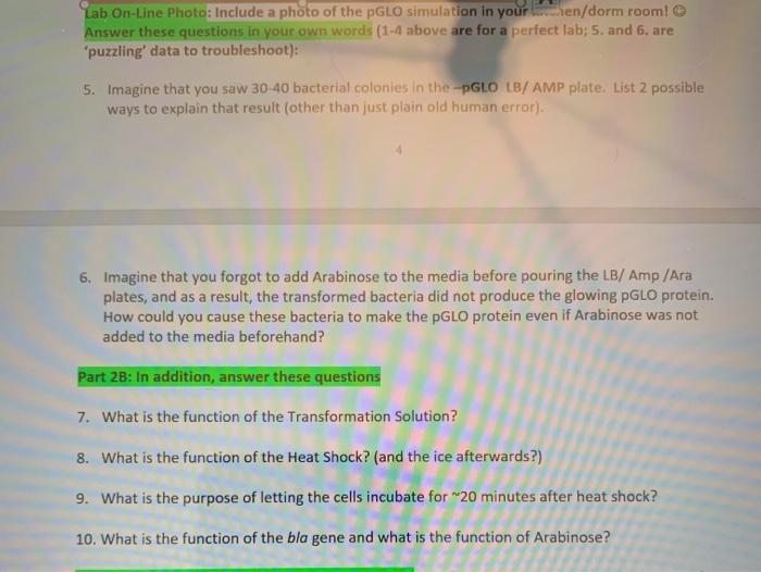 Solved Lab On-Line Photo: Include a photo of the pGLO | Chegg.com