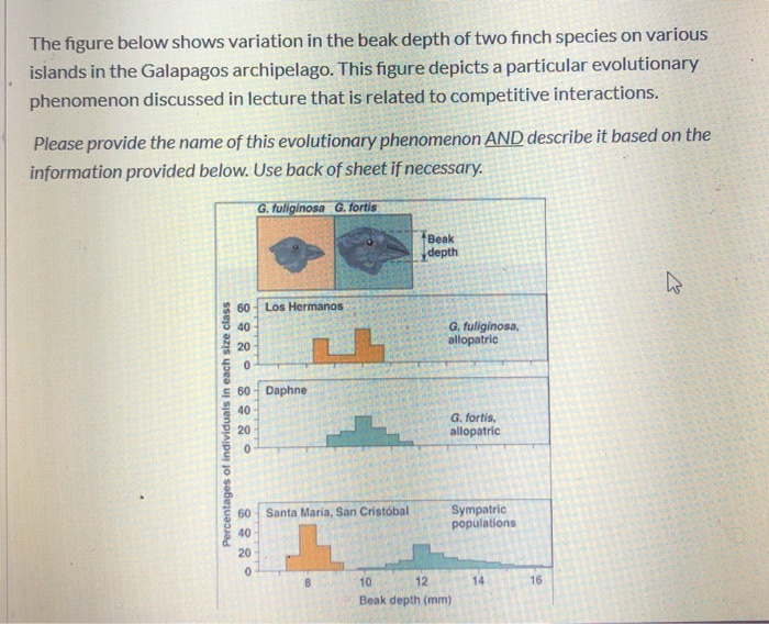 Solved The figure below shows variation in the beak depth of | Chegg.com