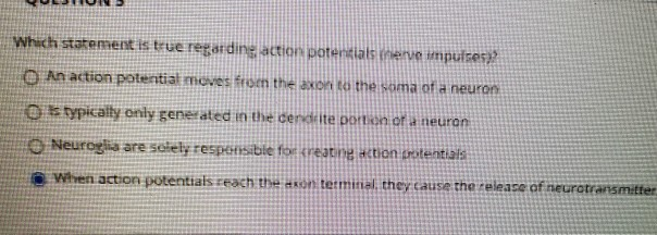 Solved Which statement is true regarding action potentials | Chegg.com