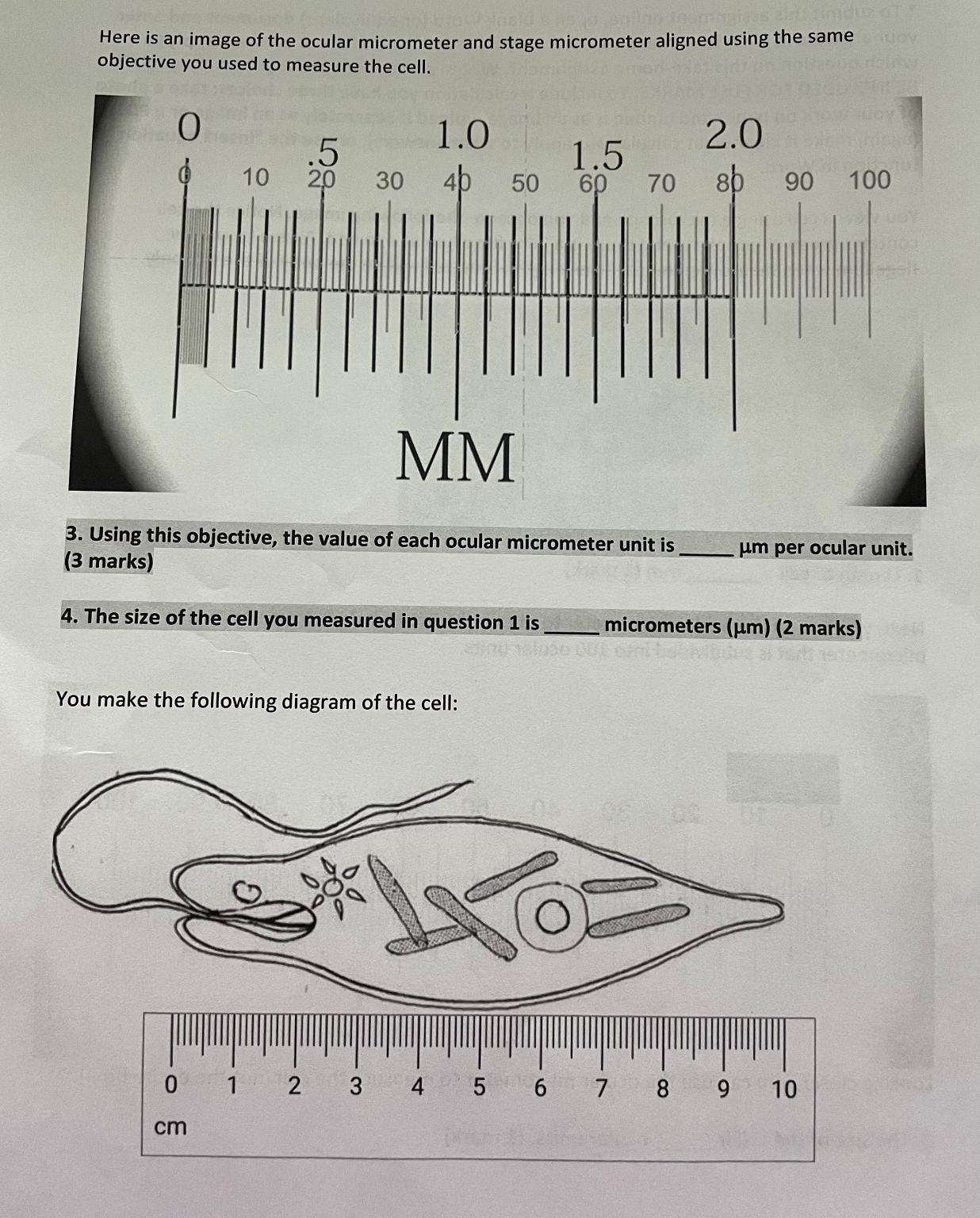 Solved Here is an image of the ocular micrometer and stage | Chegg.com