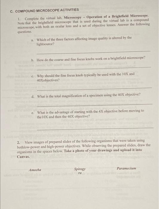 Solved C. COMPOUND MICROSCOPE ACTIVITIES 1. Complete the | Chegg.com