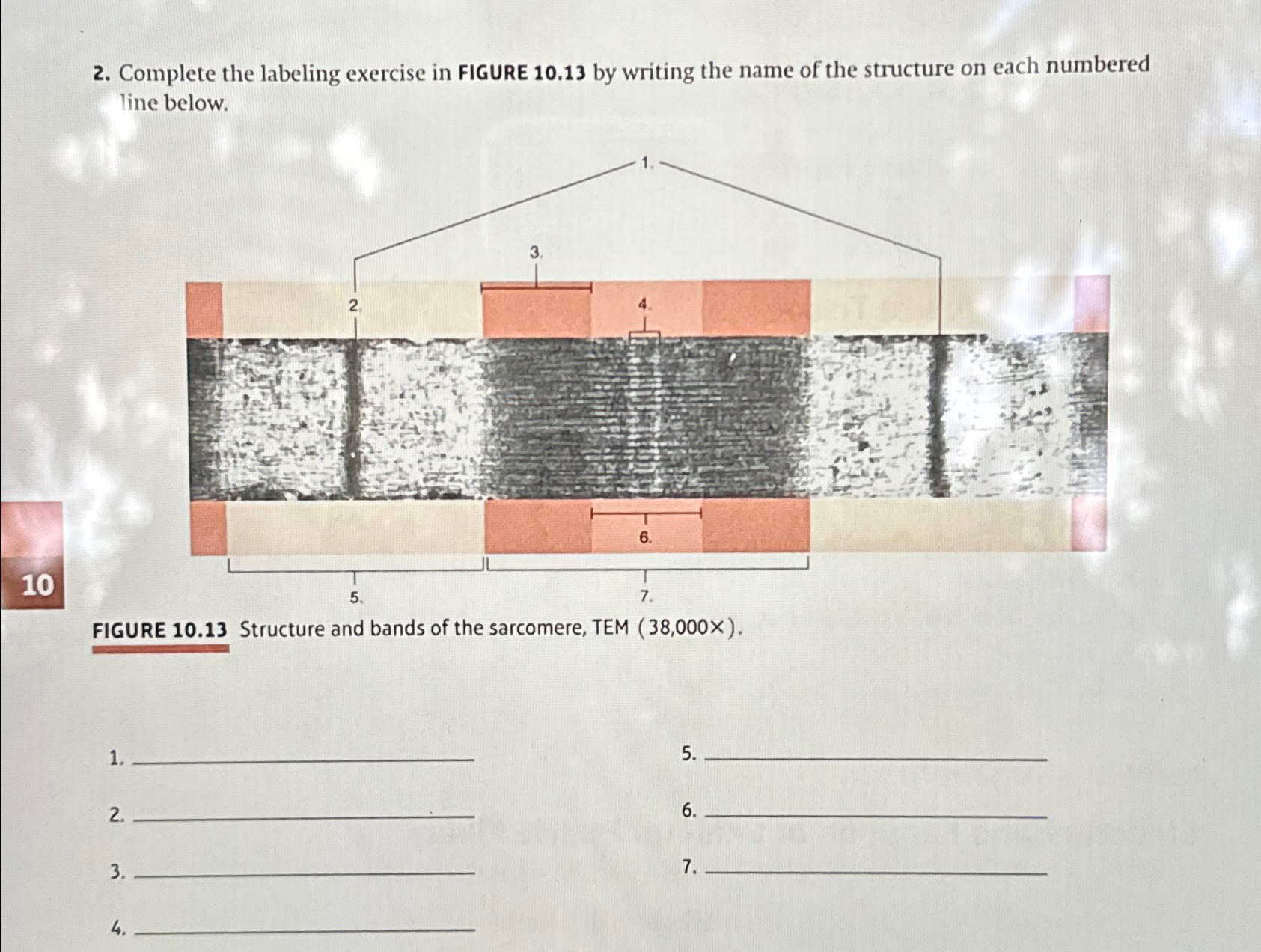 Solved Complete the labeling exercise in FIGURE 10.13 ﻿by | Chegg.com
