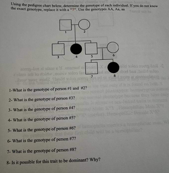 Solved Using the pedigree chart below, determine the | Chegg.com