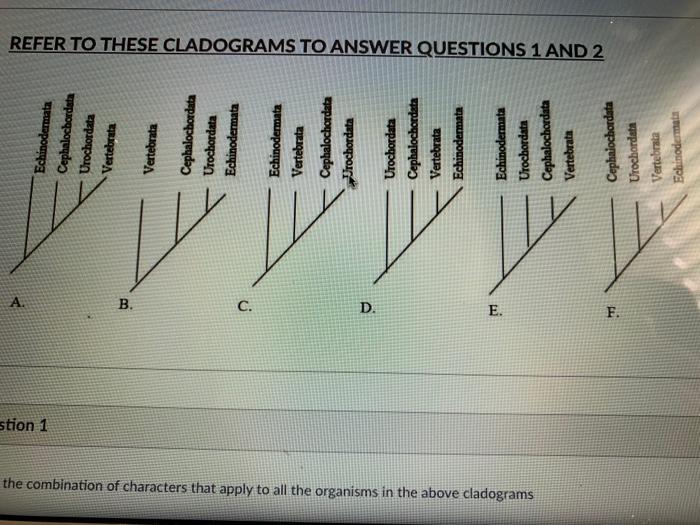 Solved REFER TO THESE CLADOGRAMS TO ANSWER QUESTIONS 1 AND 2 | Chegg.com