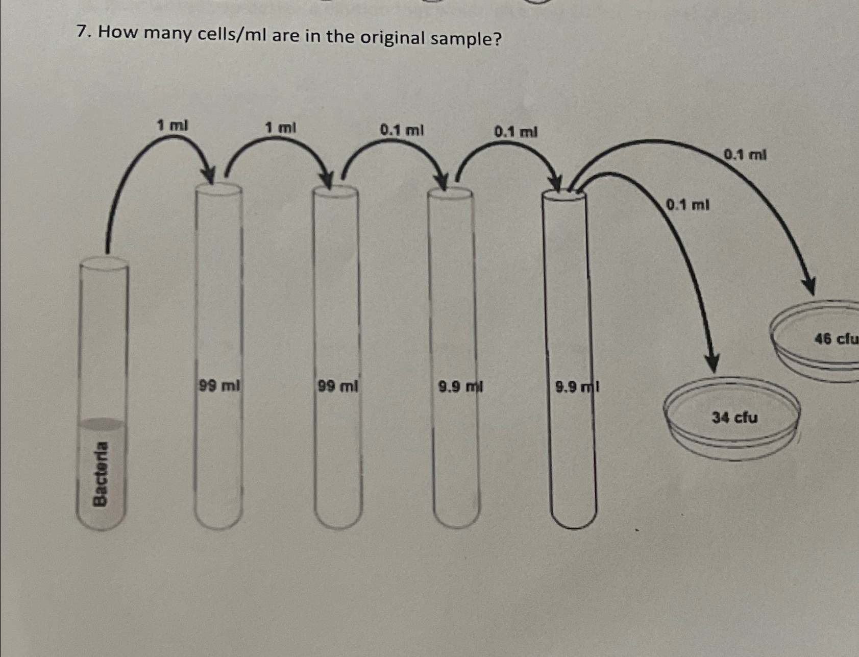 Solved How many cells/ml are in the original sample? | Chegg.com