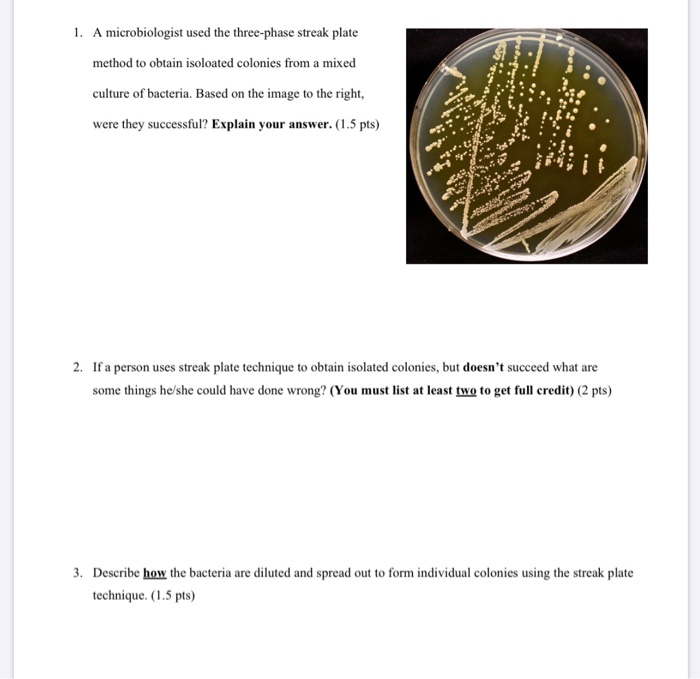Solved 1. A microbiologist used the three-phase streak plate | Chegg.com