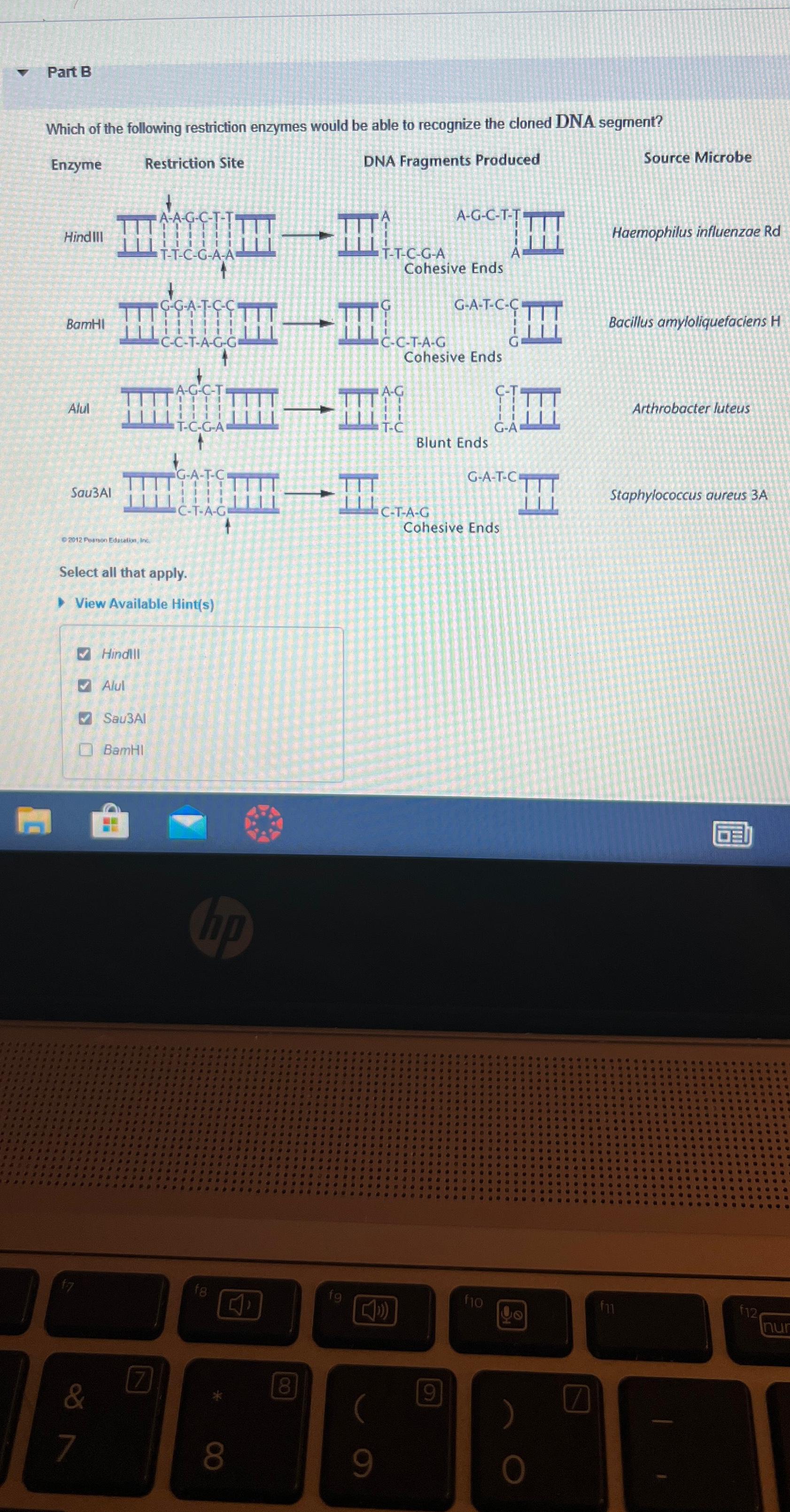 Solved Part BWhich of the following restriction enzymes | Chegg.com