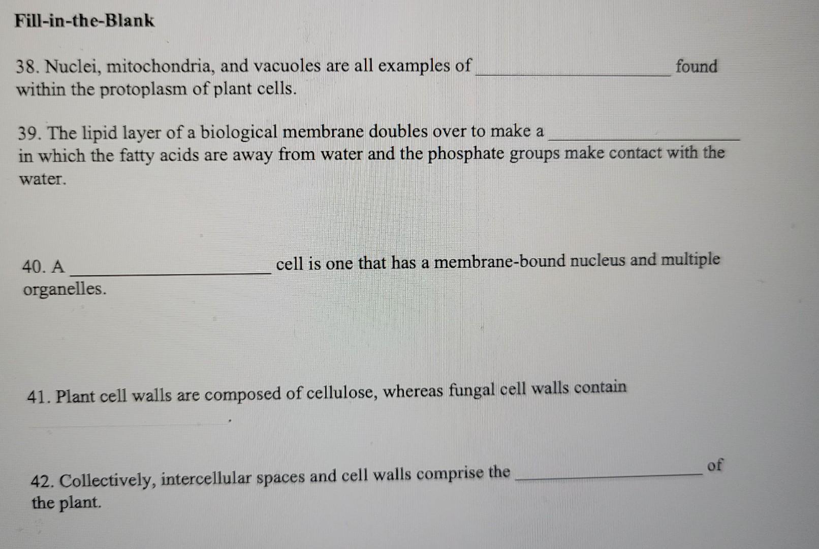 Solved Fill-in-the-Blank found 38. Nuclei, mitochondria, and | Chegg.com