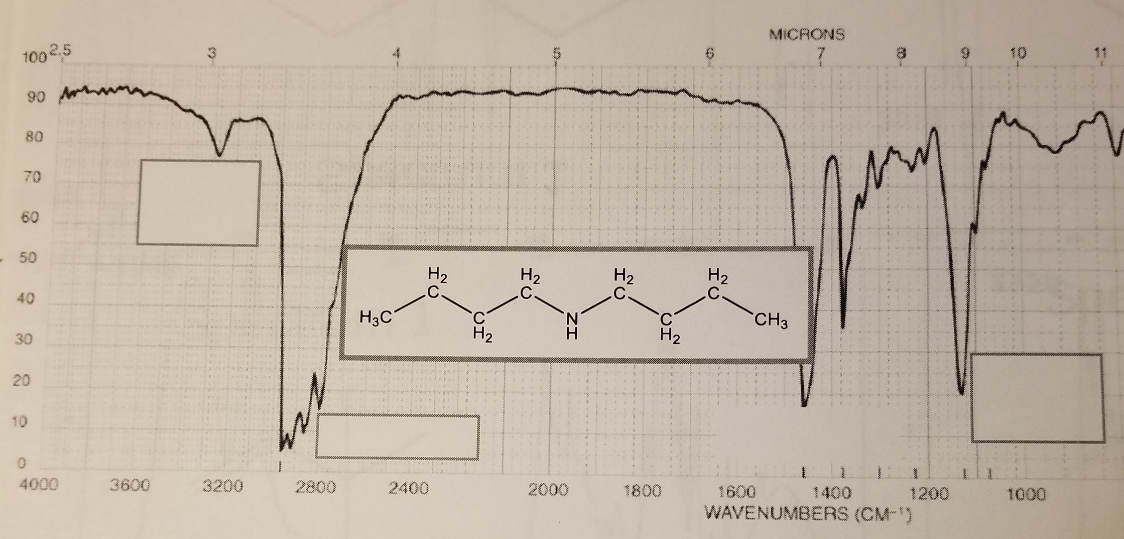 Solved Fill in blank boxes for spectral analysis | Chegg.com