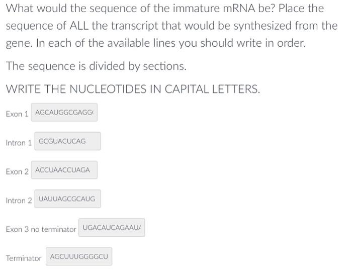 Solved The following eukaryotic DNA sequence is a made up | Chegg.com