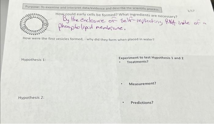 Solved Purpose: To examine and interpret data/evidence and | Chegg.com