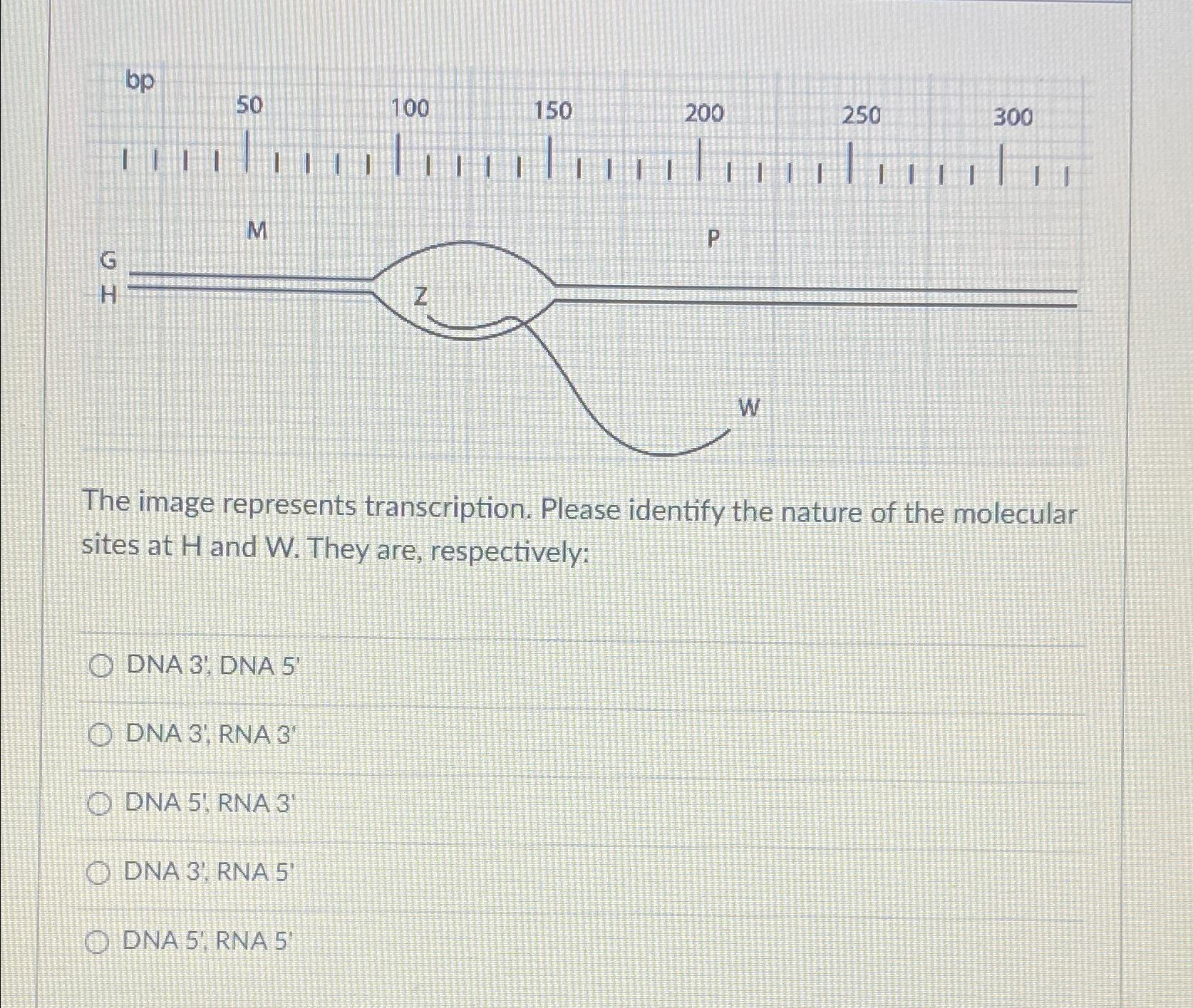 Solved The image represents transcription. Please identify | Chegg.com