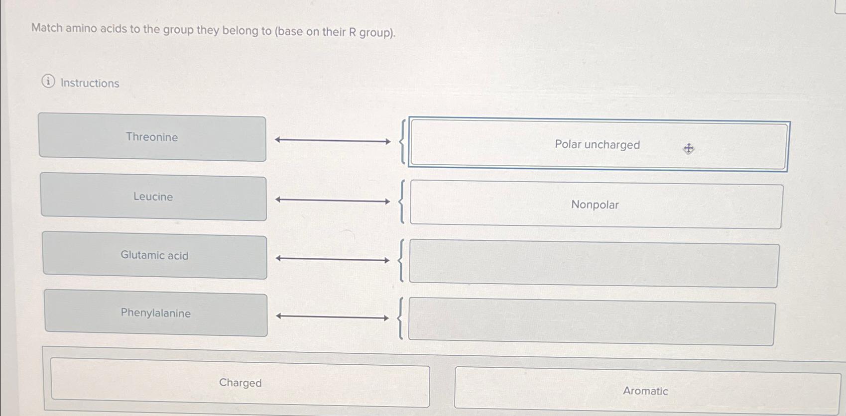Solved Match amino acids to the group they belong to (base | Chegg.com