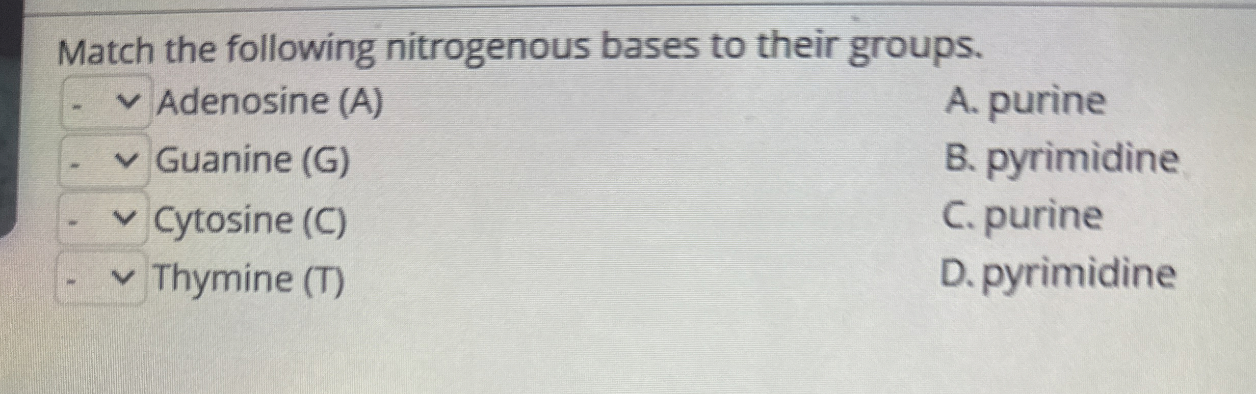 Solved Match the following nitrogenous bases to their | Chegg.com