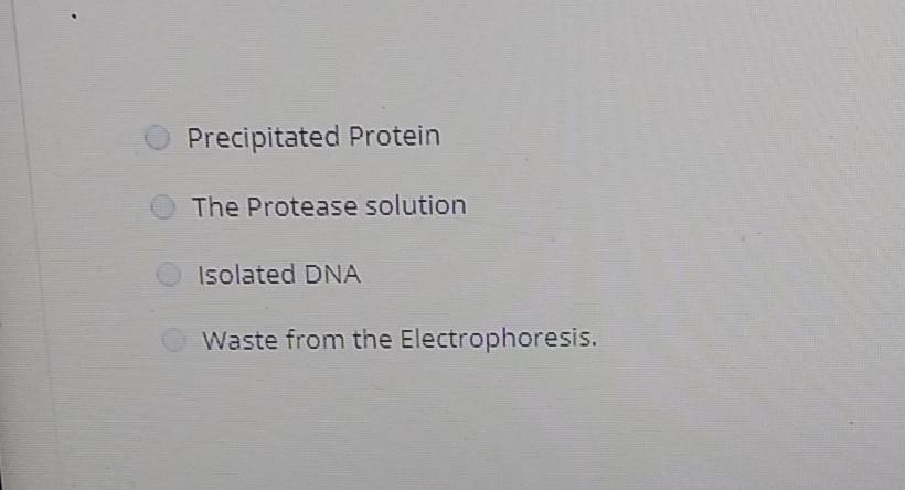 Solved From your lab, What is the arrow pointing to? | Chegg.com