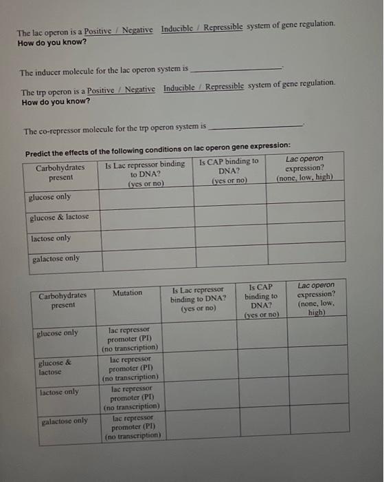 Solved The lac operon is a Positive / Negative Inducible / | Chegg.com
