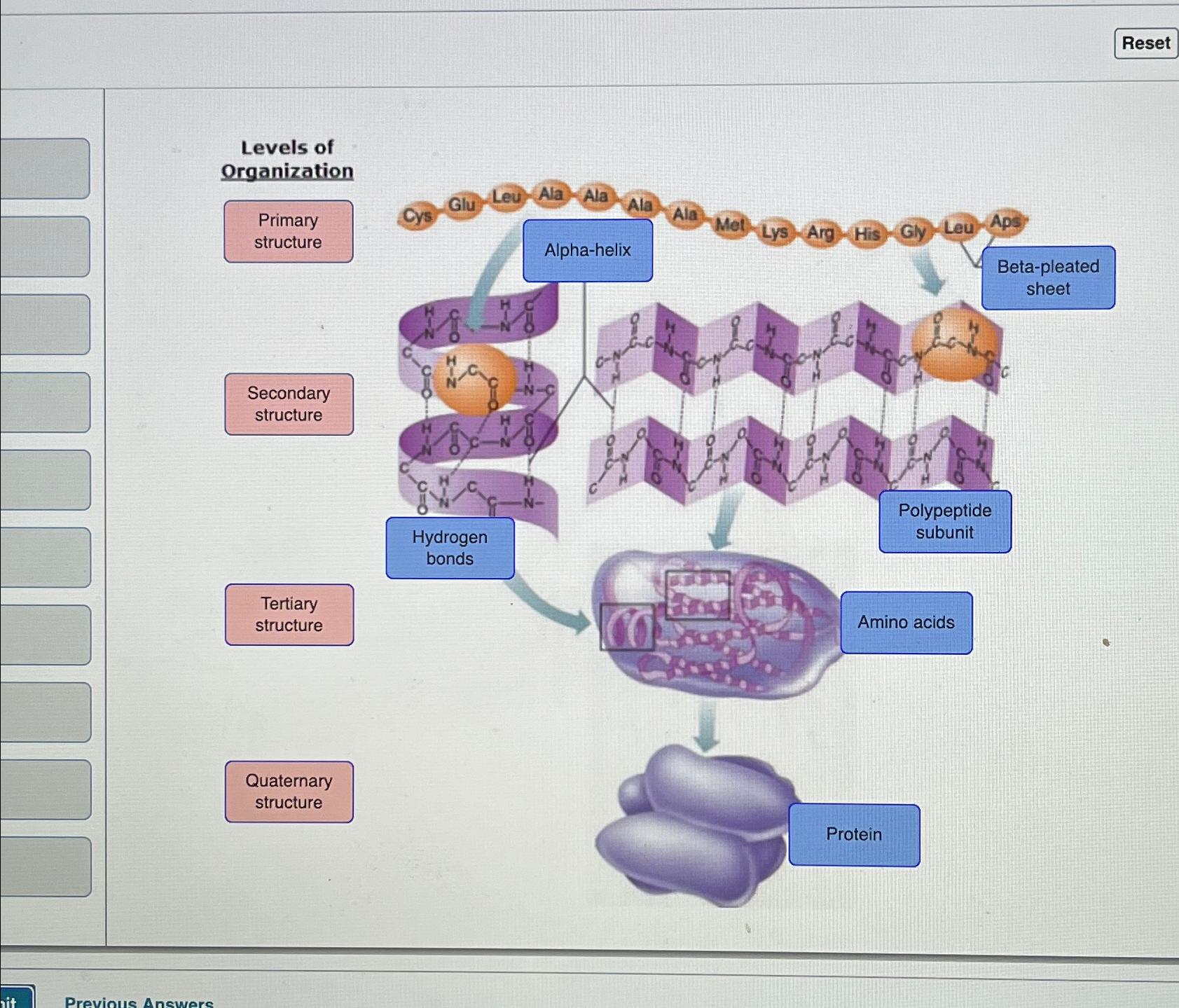 Solved ResetLevels ofOrganization | Chegg.com