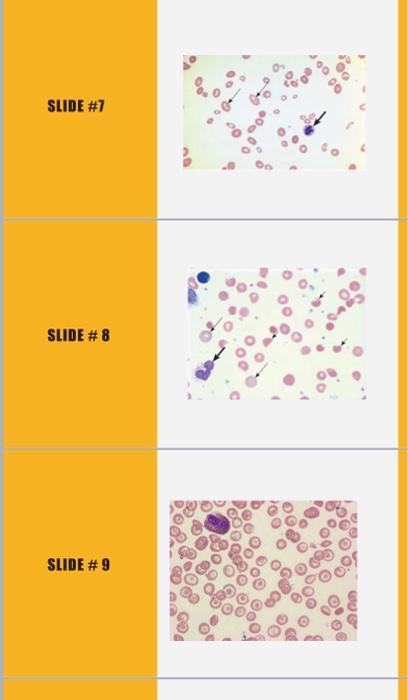 Solved SUDE \# 8 SIIDE \# 9 - For cach of the | Chegg.com
