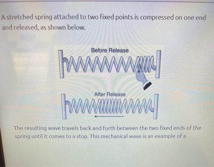 Solved A stretched spring attached to two fixed points is | Chegg.com