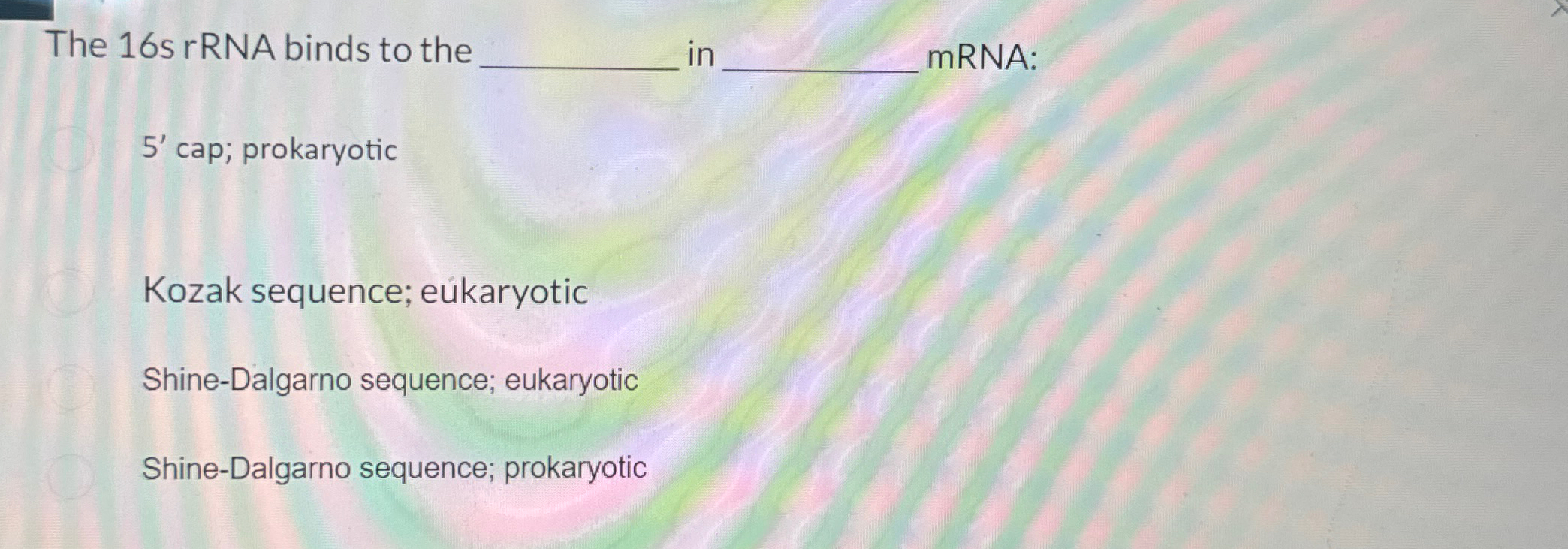 Solved The 16 ﻿s rRNA binds to the q, ﻿in q, ﻿mRNA:5' ﻿cap; | Chegg.com