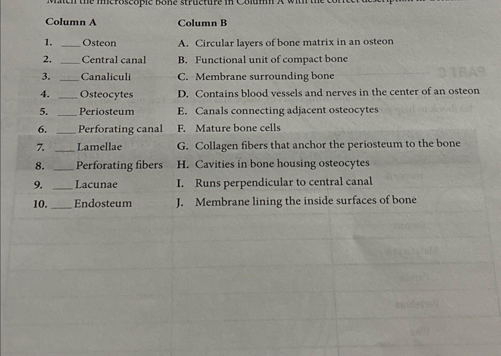 Solved Column AOsteonCentral | Chegg.com