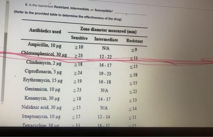 Solved 11 21 CENTIMETERS al 41 ASM MicrobeLibrary Mudricki | Chegg.com