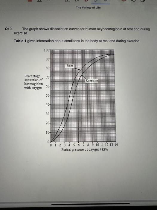 Q10. The graph shows dissociation curves for human | Chegg.com